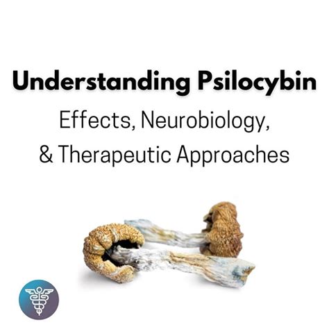 Psychedelic Therapy Training Online Education Courses Psychedelic Support