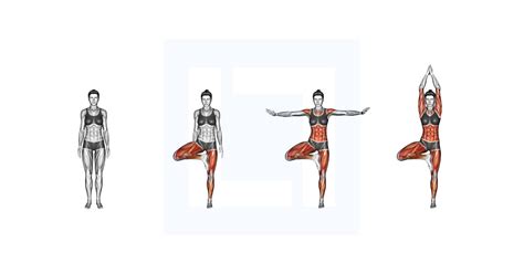 Tree Pose Vrksasana Guide Benefits And Form