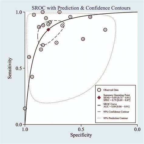 Summary Receiver Operating Characteristic Curve Of Patient Analysis