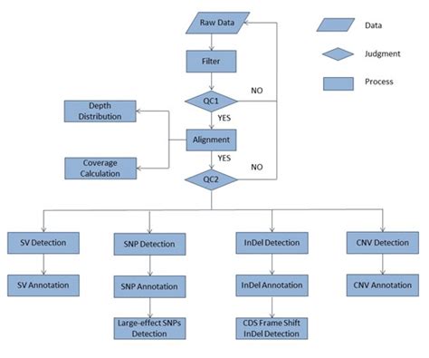 The Pipeline Of Standard Bioinformatics Analysis The Pipeline Based On