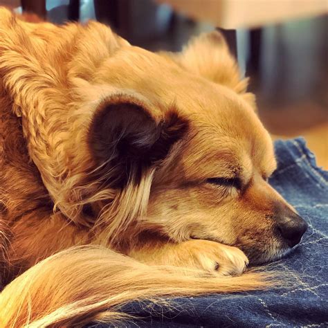 Untitled Opacity Flickr