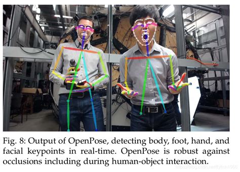openpose 2019版总结 西西人体大胆ww csdn博客