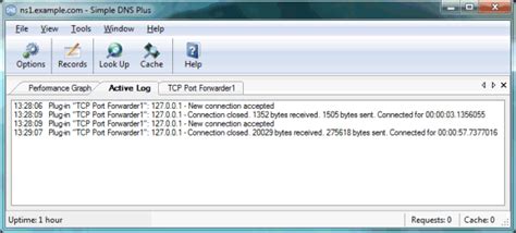 Tcp Port Forwarder Plug In Simple Dns Plus Knowledge Base