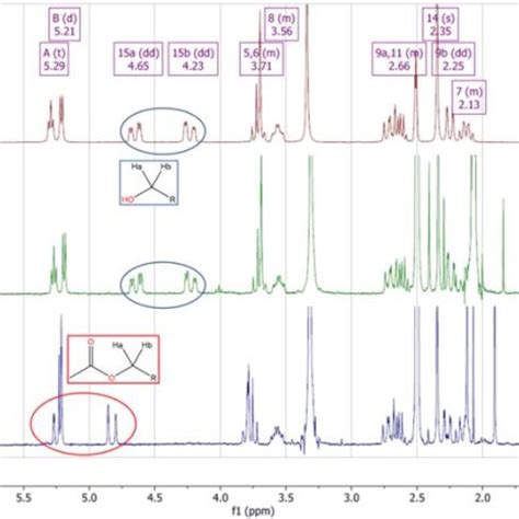 Lipase B From Candida Antarctica Cal B Catalyzed Acylation Of