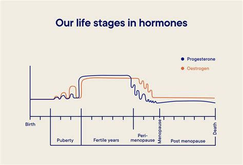 Menopause Diagram