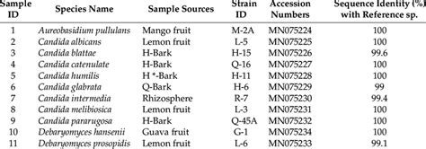 Yeast Species Isolated From Different Environmental Sample Sources Download Scientific Diagram