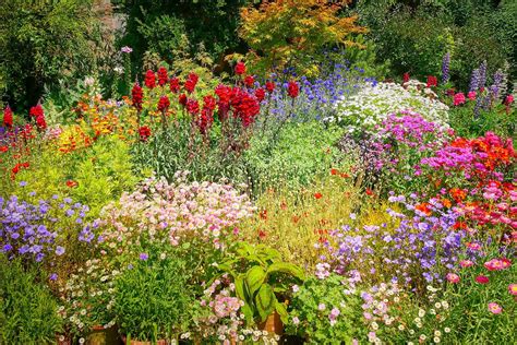 How To Design The Perfect Natural Garden Happysprout