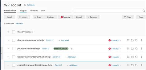 Detaching A WordPress Site From The WP Toolkit Conetix