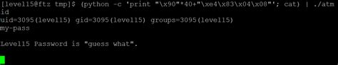 Hacker School Ftz Level 15 Records