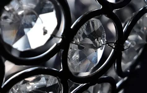 Wallpaper Macro Lamp 2025 For Mobile And Desktop Section макро