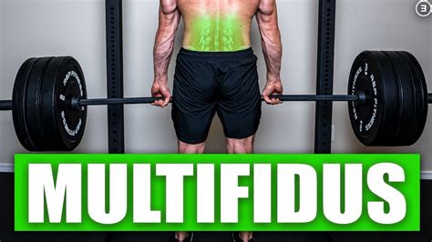 Best Multifidus Exercises Not What You Think Science Based Youtube