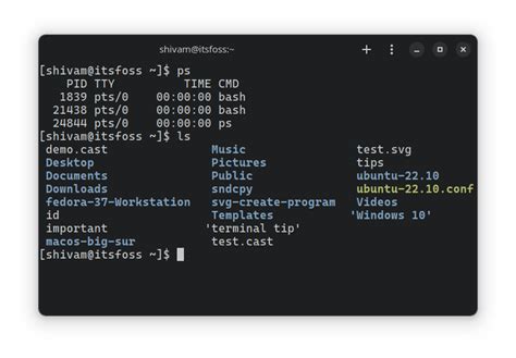 terminal fonts