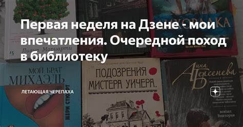 Первая неделя на Дзене мои впечатления Очередной поход в библиотеку Летающая Черепаха Дзен