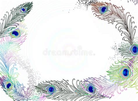 Pattern Of Peacock Feather Stock Illustration Illustration Of