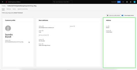 Profile Detail Customization In The Ui Adobe Experience Platform