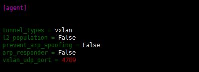 openstack如何使用openvswitch实现vxlan 服务器 亿速云