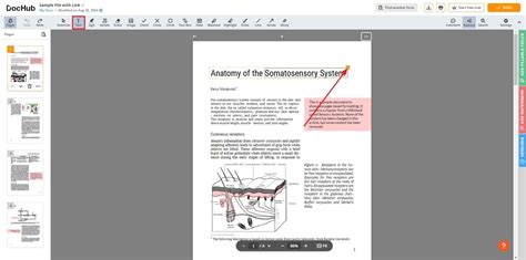 Top Rated 5 Tools Explaining How To Remove Link From PDF