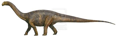 Cetiosaurus Pictures And Facts The Dinosaur Database