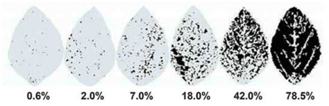 Agronomy Free Full Text A Little Helper Beneficial Bacteria With
