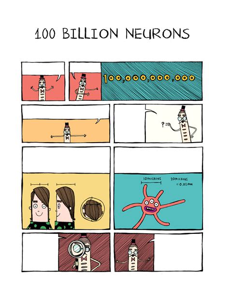 🧠 Bobos Brain More Than A Graphic Novel 🧠 Wittlethings