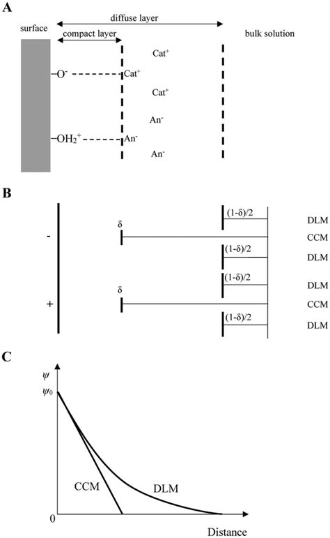 Schematic Representation Of The New Structure Of Electrical Double Download Scientific Diagram