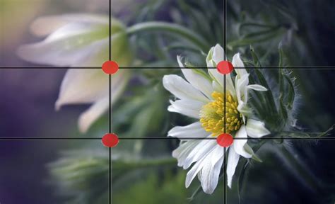 How to Use the Rule of Thirds to Improve Your Art