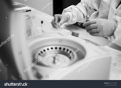 Dna Extraction Process Chemistry Lab Stock Photo 1611728146 Shutterstock