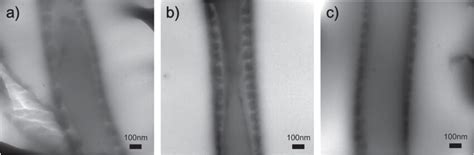 Tem Images Demonstrating The Core Shell Fiber Structure Formation Of Download Scientific