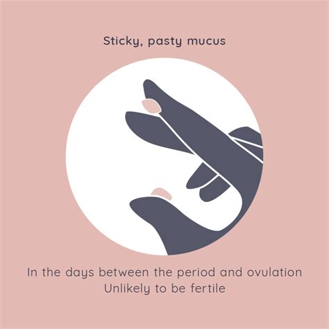 Getting To Know Your Cervical Mucus The Fertility Pod Acupuncture