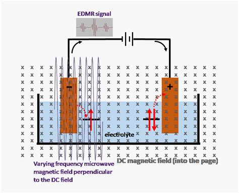 Edmr Set Up To Measure The Electrode Process Of An Hd Png Download