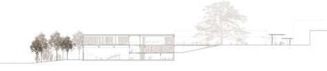 To Tree Or Not To Tree Transversal Architectes Lausanne Architecture Atelier