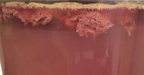 Home Brew Issue Album On Imgur