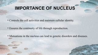 NUCLEUS Pptx Structure And Fuction Of Nucleus PPT