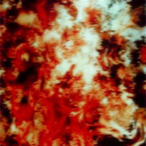 Fe4rless Youtube Music