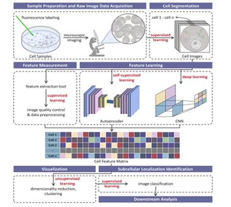 Recent Developments In High Spatial Temporal Image Based Tracking Of