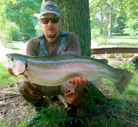 Record Rainbow Trout World Record Rainbow Trout Canada
