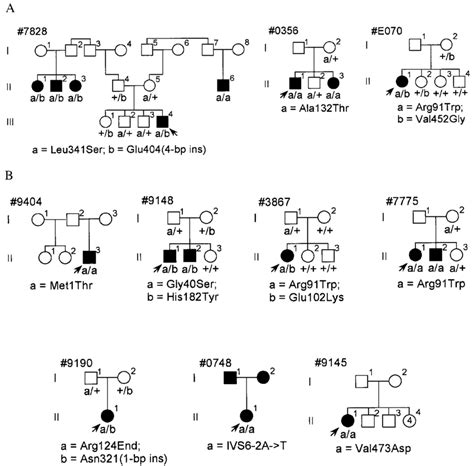 Pedigrees Segregating Mutations In The Families Of Index Patients