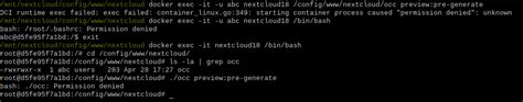 Nextcloud Occ Permission Denied Container Support LinuxServer Io