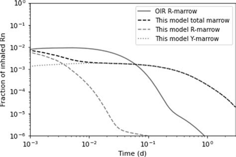 An Age And Sex Specific Biokinetic Model For Radon Iopscience