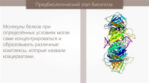 Органический мир как результат эволюции. 9 класс - презентация онлайн