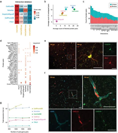 Intercelldb A User‐defined Database For Inferring Intercellular Networks Pmc