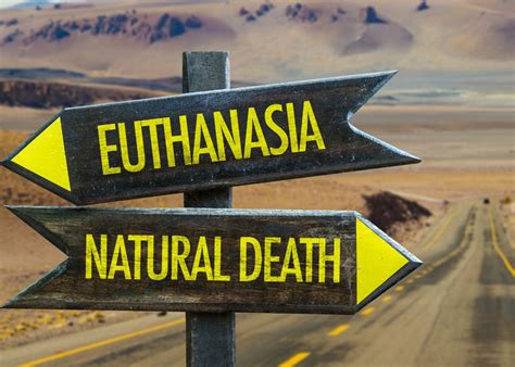 Euthanasia Unpacking An Ethical Dilemma In South Africa