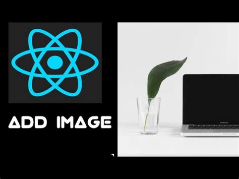 How To Add Image In Reactjs Youtube