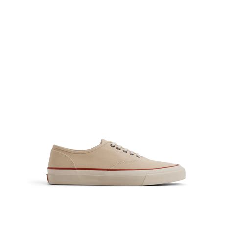 Top Sider Cvo Sneaker Light Beige Sperry
