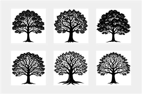 Minimal Oke Tree Silhouette 48689939 Vector Art At Vecteezy