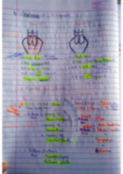 Solution Cockroach Notes For Neet Studypool