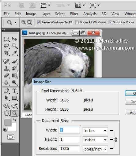 How To Crop To Fixed Ratio In Photoshop