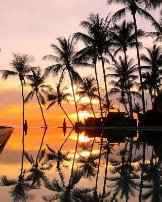 Belle Spiagge Seguiranno Quelle In Topless Porn Pictures XXX Photos Sex Images PICTOA