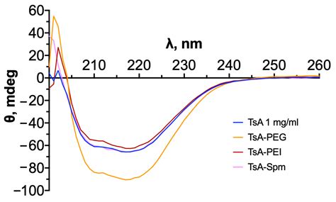 L Asparaginase Conjugates From The Hyperthermophilic Archaea
