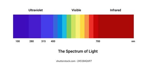 Incandescent Bulb Diagram Over 43 Royalty Free Licensable Stock Vectors And Vector Art Shutterstock